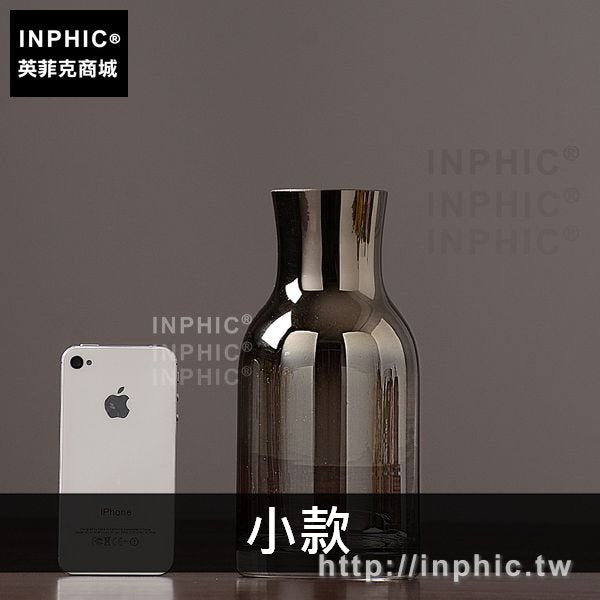 Inphic 富貴竹擺件擺設客廳花瓶裝飾品現代插花水培玻璃透明 小款
